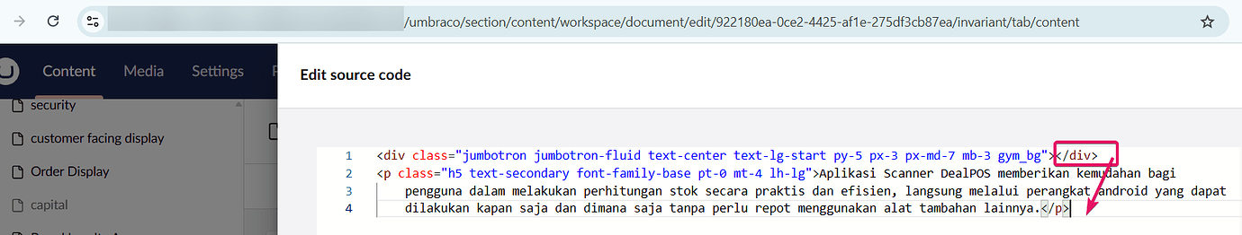 TipTap RichText Editor allow p inside div - Umbraco community forum
